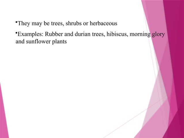 FORM 2 CHAPTER 1 BIODIVERSITY BIOLOGY.pptx