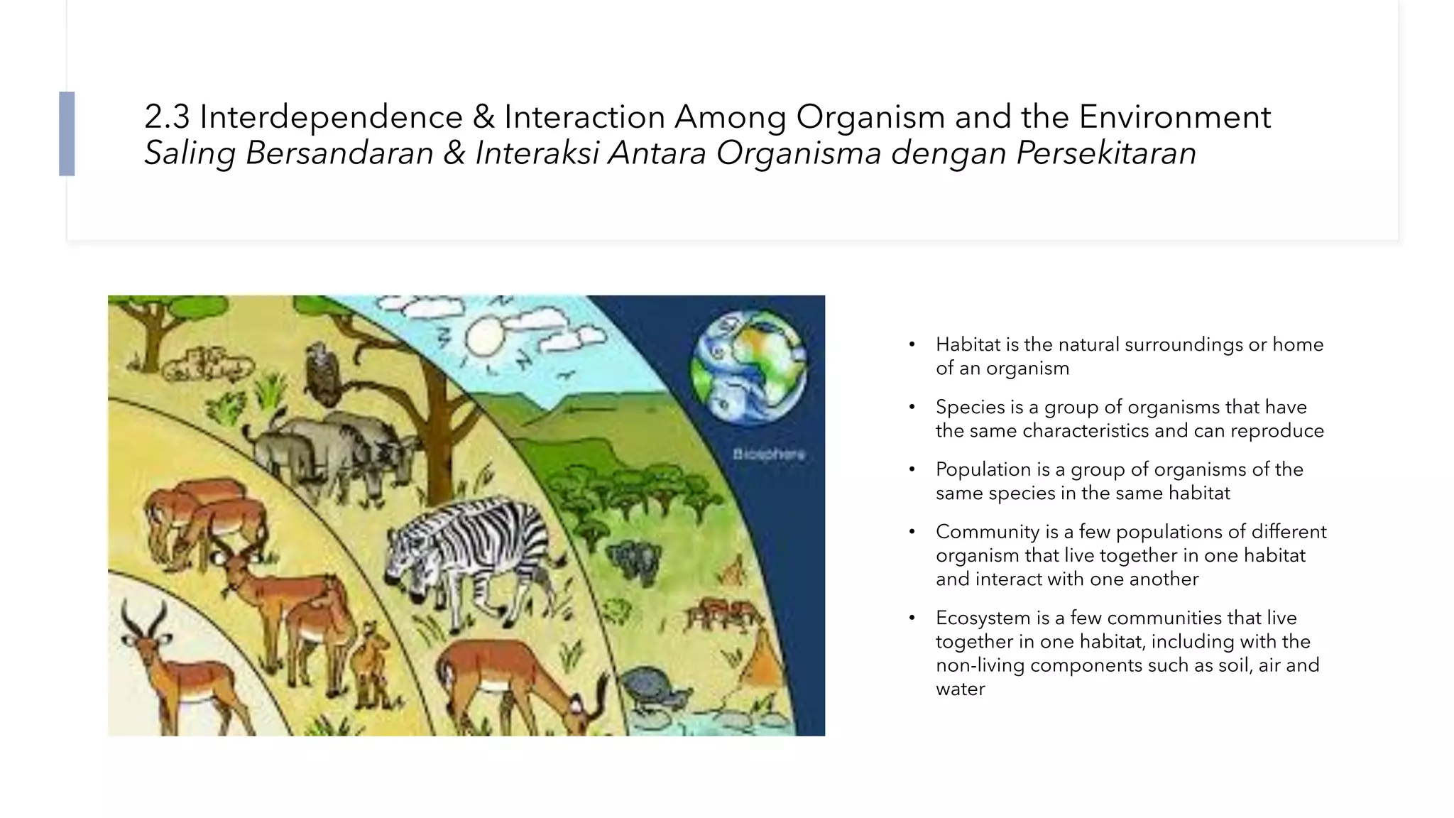 Form 2 DLP Chapter 2 Ecosystem | PDF