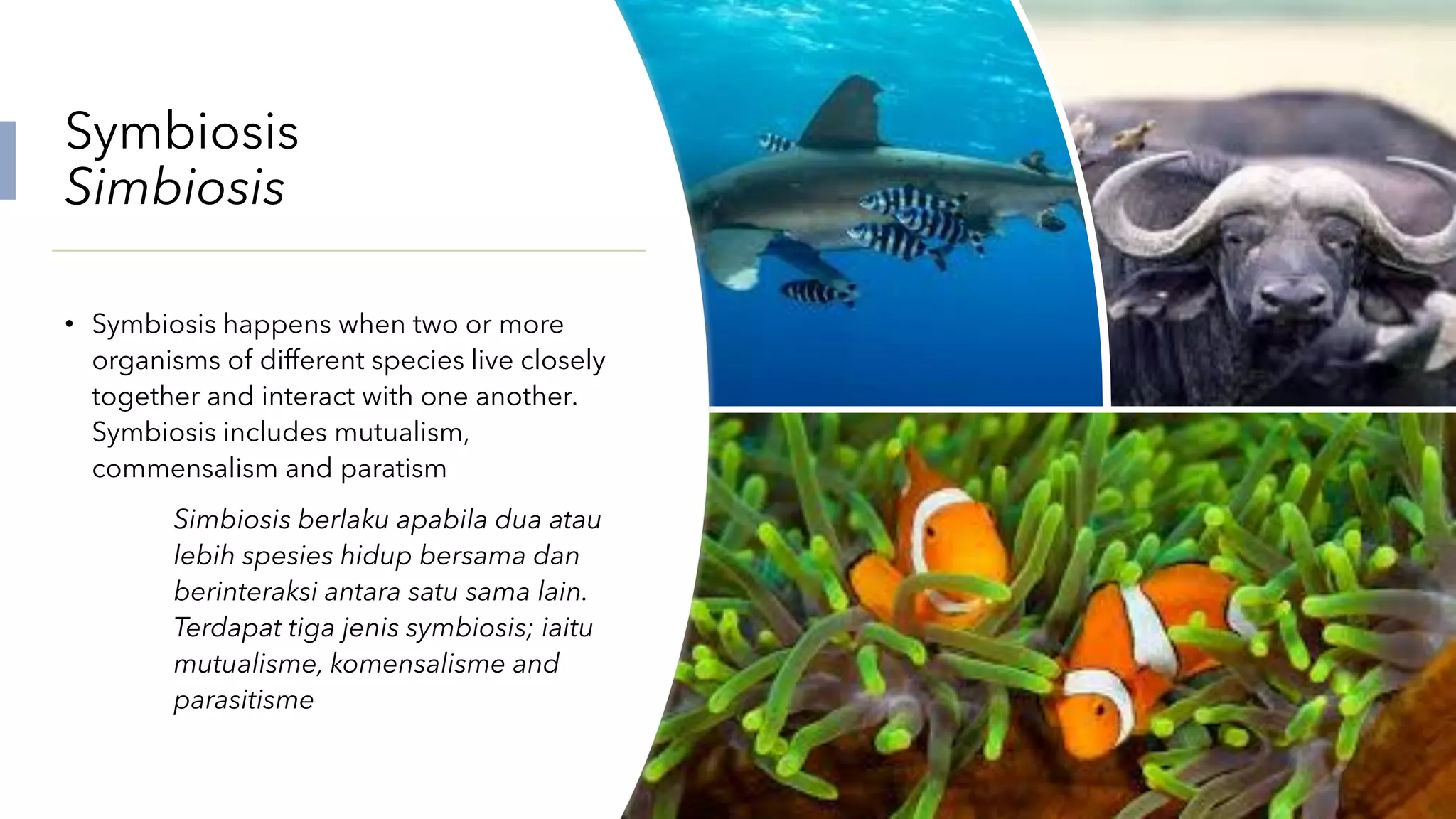 Form 2 DLP Chapter 2 Ecosystem | PDF