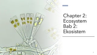 Form 2 DLP Chapter 2 Ecosystem | PDF