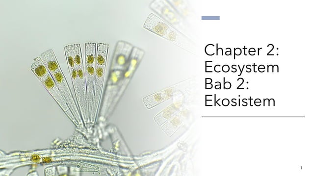 Form 2 DLP Chapter 2 Ecosystem | PDF