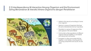 Form 2 DLP Chapter 2 Ecosystem | PDF