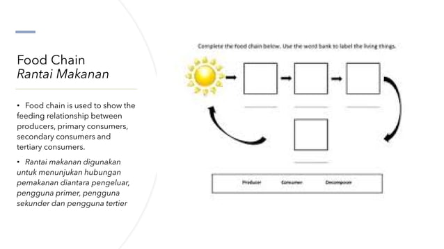 Form 2 DLP Chapter 2 Ecosystem | PDF