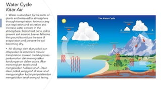 Form 2 DLP Chapter 2 Ecosystem | PDF