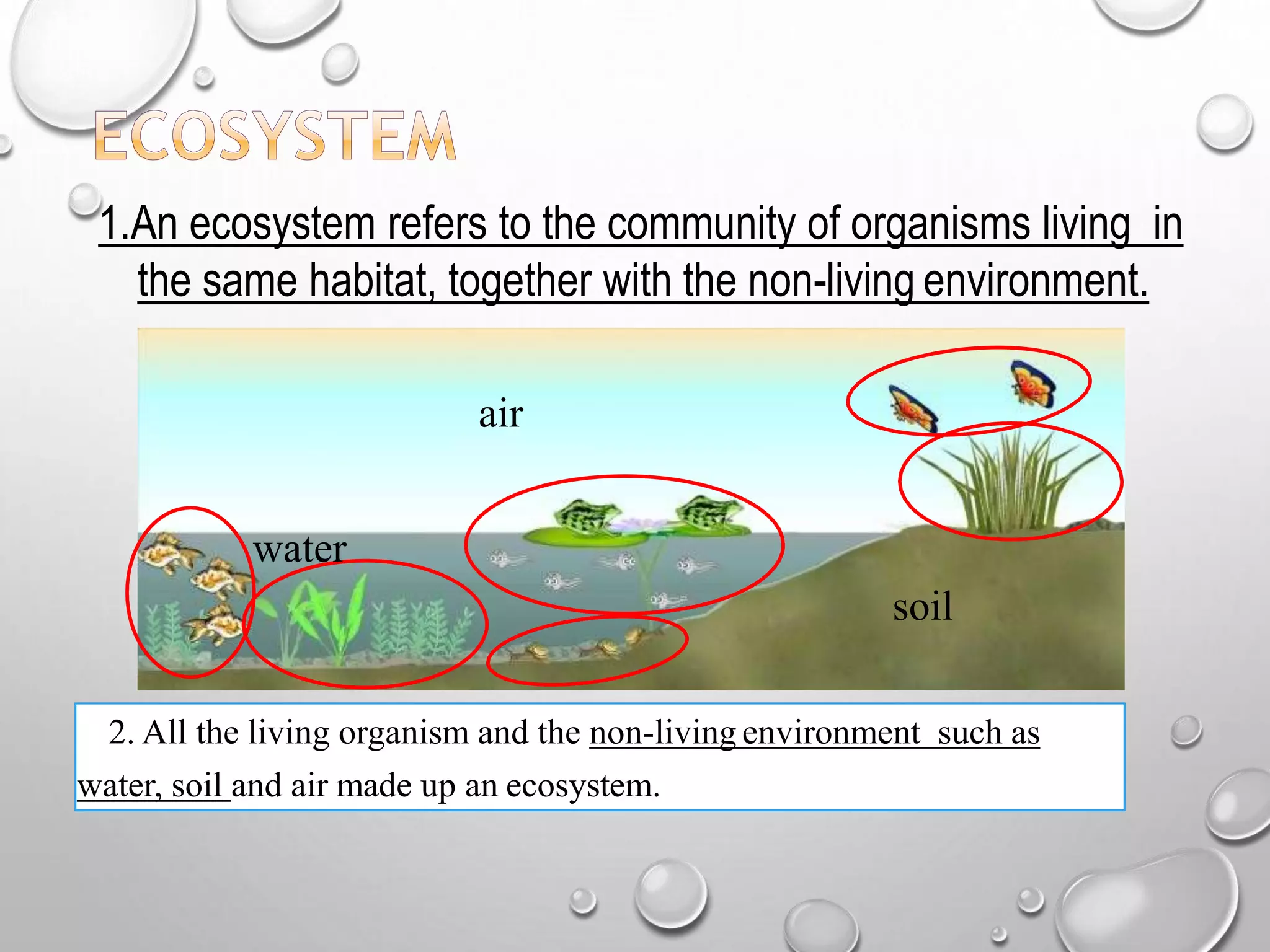 FORM 2 CHAPTER 2 ECOSYSTEM.pptx