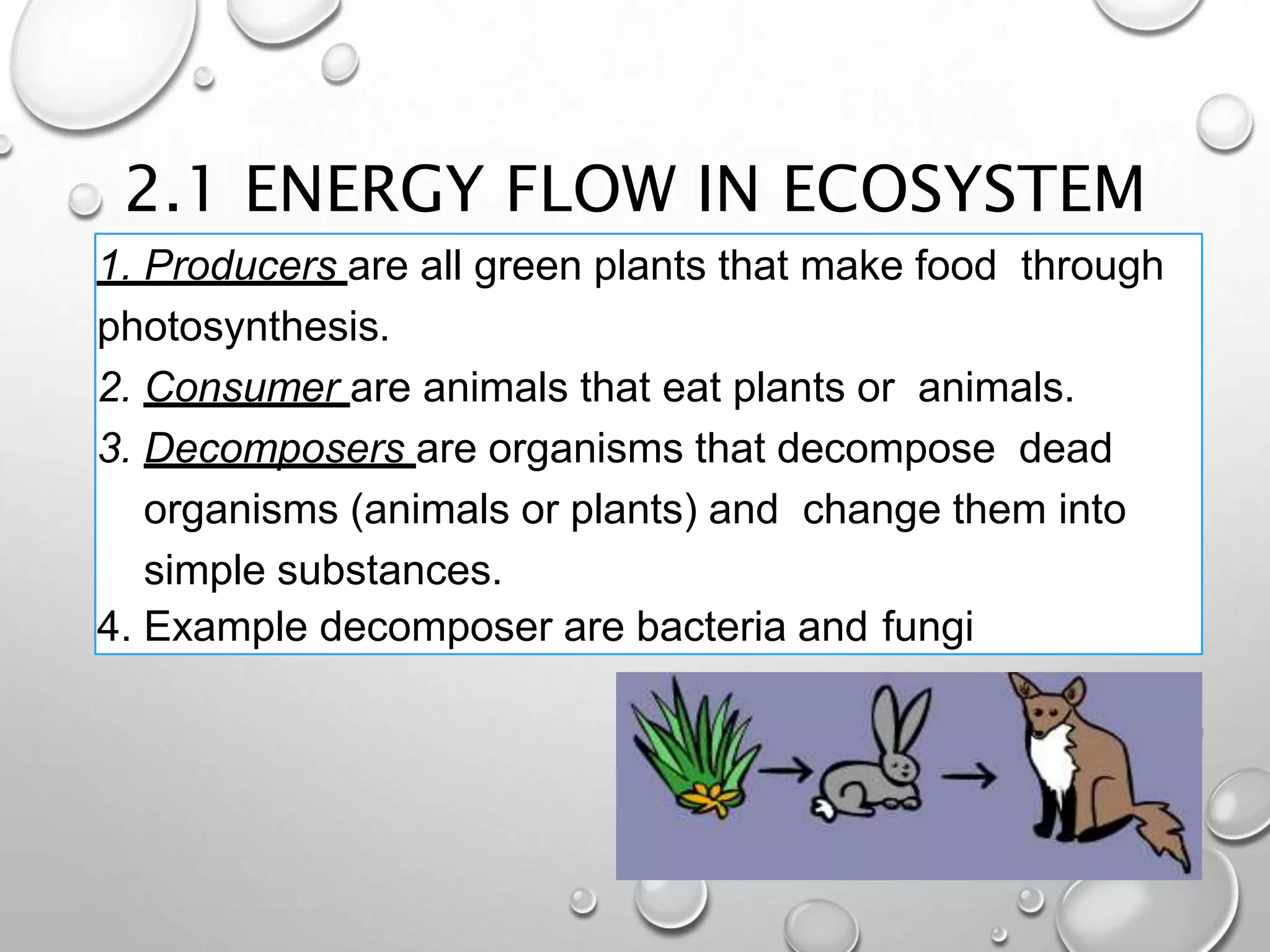 FORM 2 CHAPTER 2 ECOSYSTEM.pptx