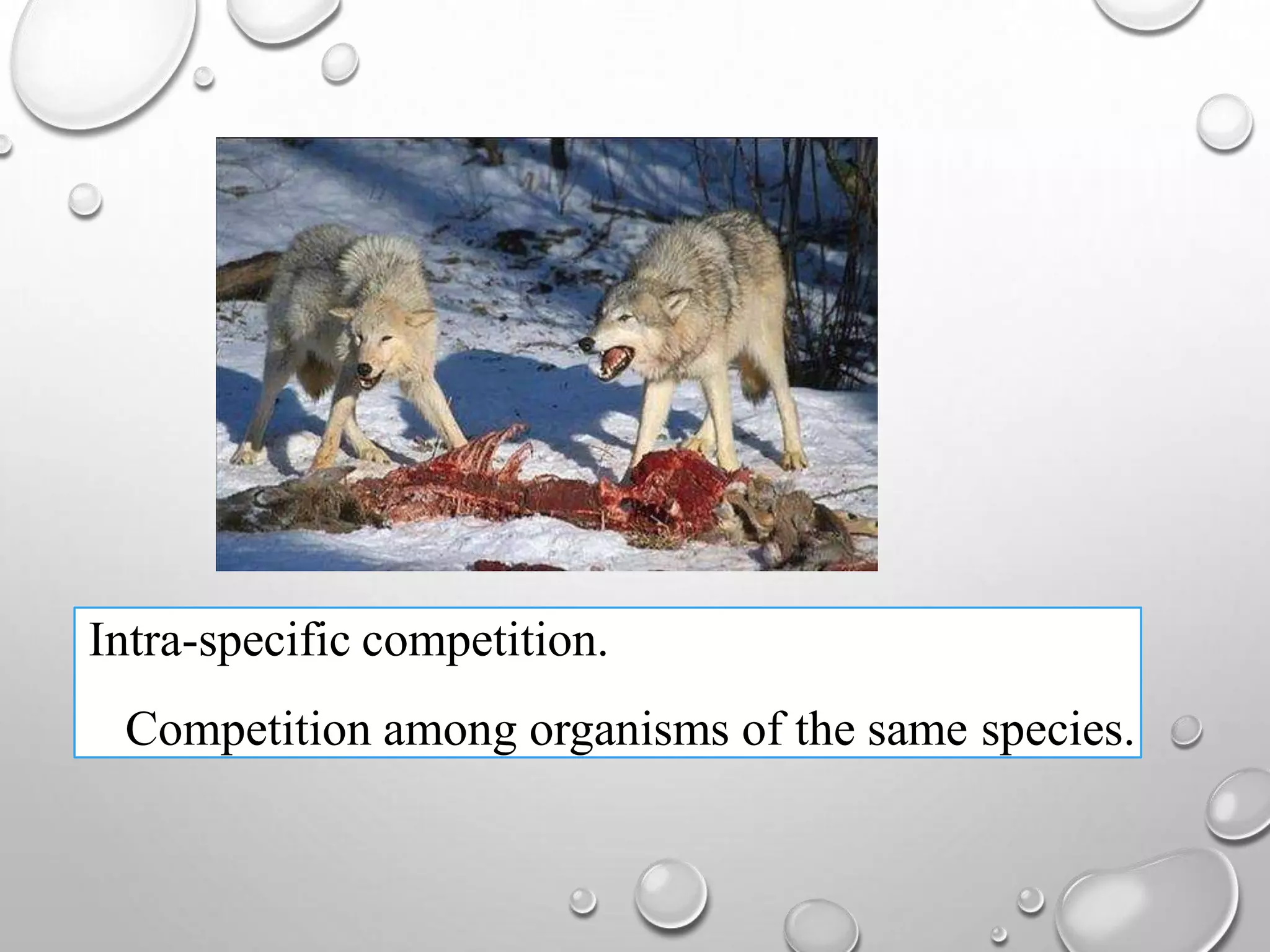 FORM 2 CHAPTER 2 ECOSYSTEM.pptx