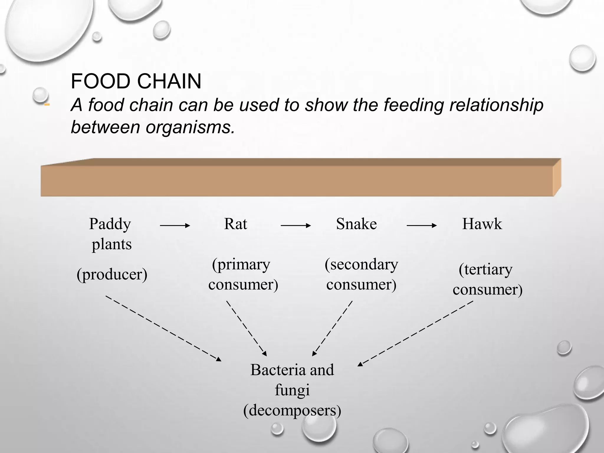 FORM 2 CHAPTER 2 ECOSYSTEM.pptx