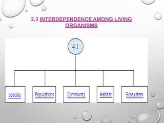 FORM 2 CHAPTER 2 ECOSYSTEM.pptx