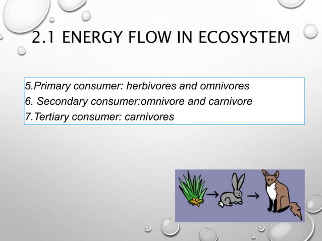 FORM 2 CHAPTER 2 ECOSYSTEM.pptx | Reptiles | Pets