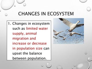 FORM 2 CHAPTER 2 ECOSYSTEM.pptx