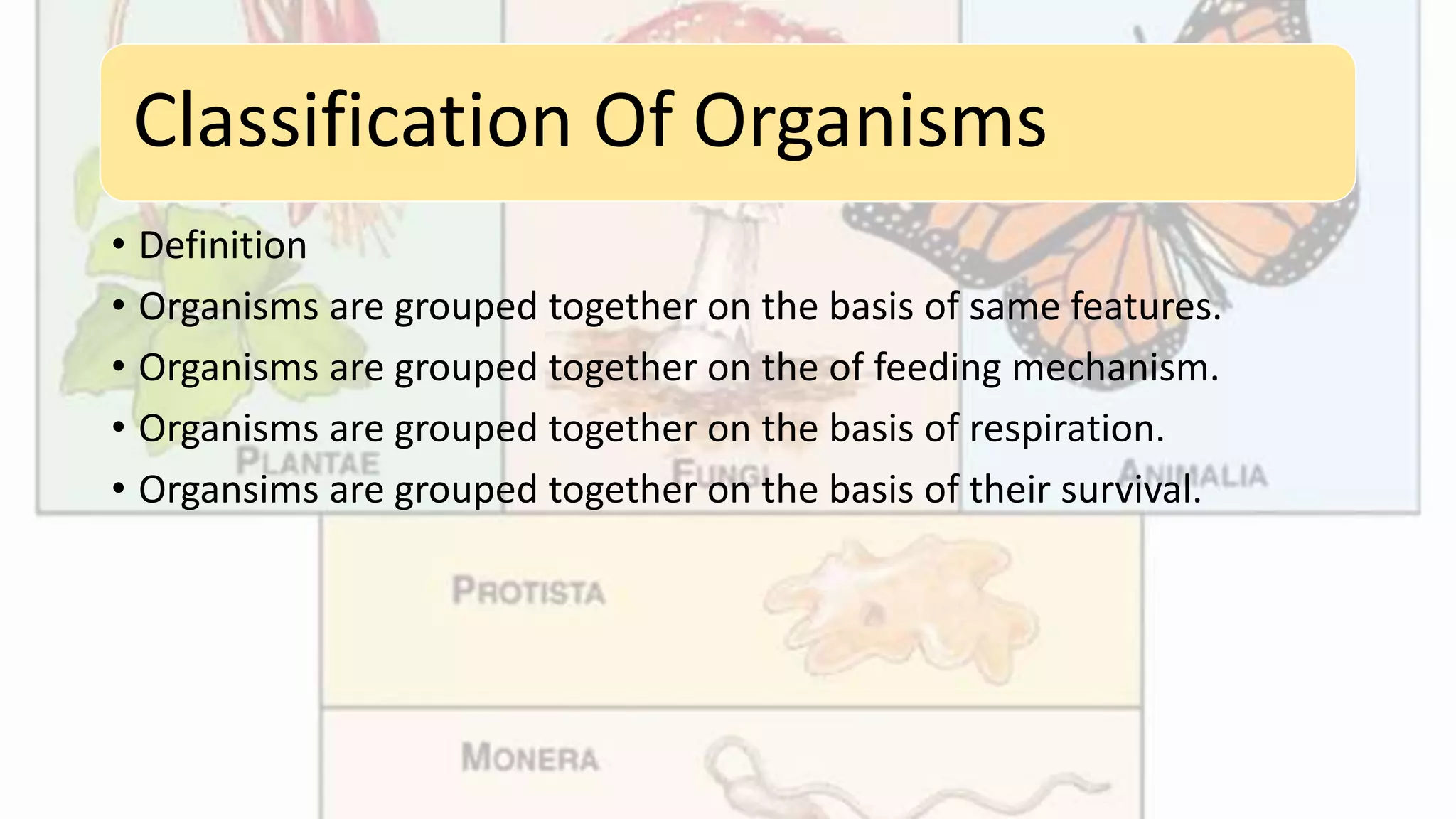 Chapter: 3 "Classification" | PPTX | Reptiles | Pets