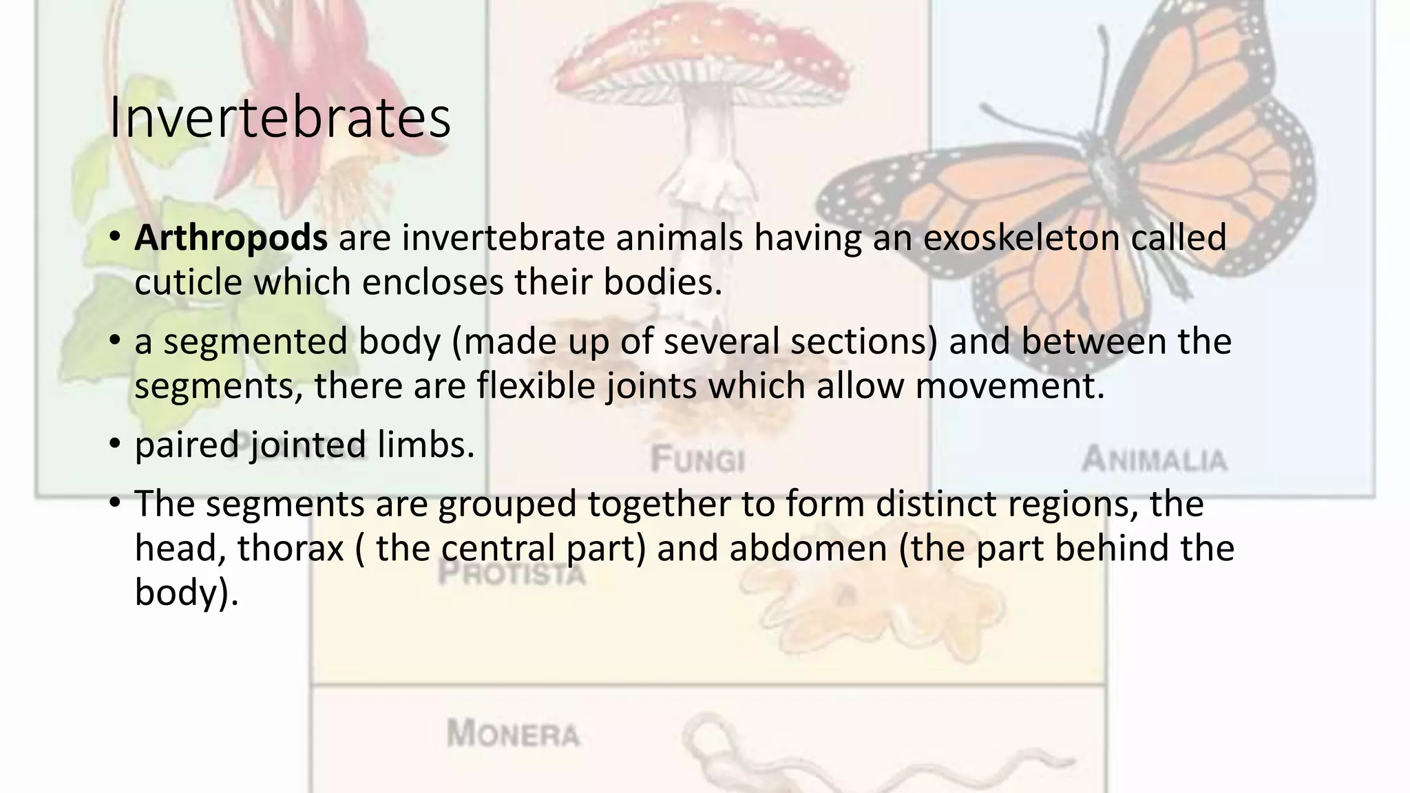 Chapter: 3 "Classification" | PPTX | Reptiles | Pets