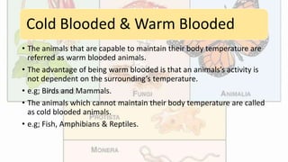 Chapter: 3 "Classification" | PPTX