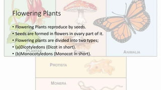 Chapter: 3 "Classification" | PPTX