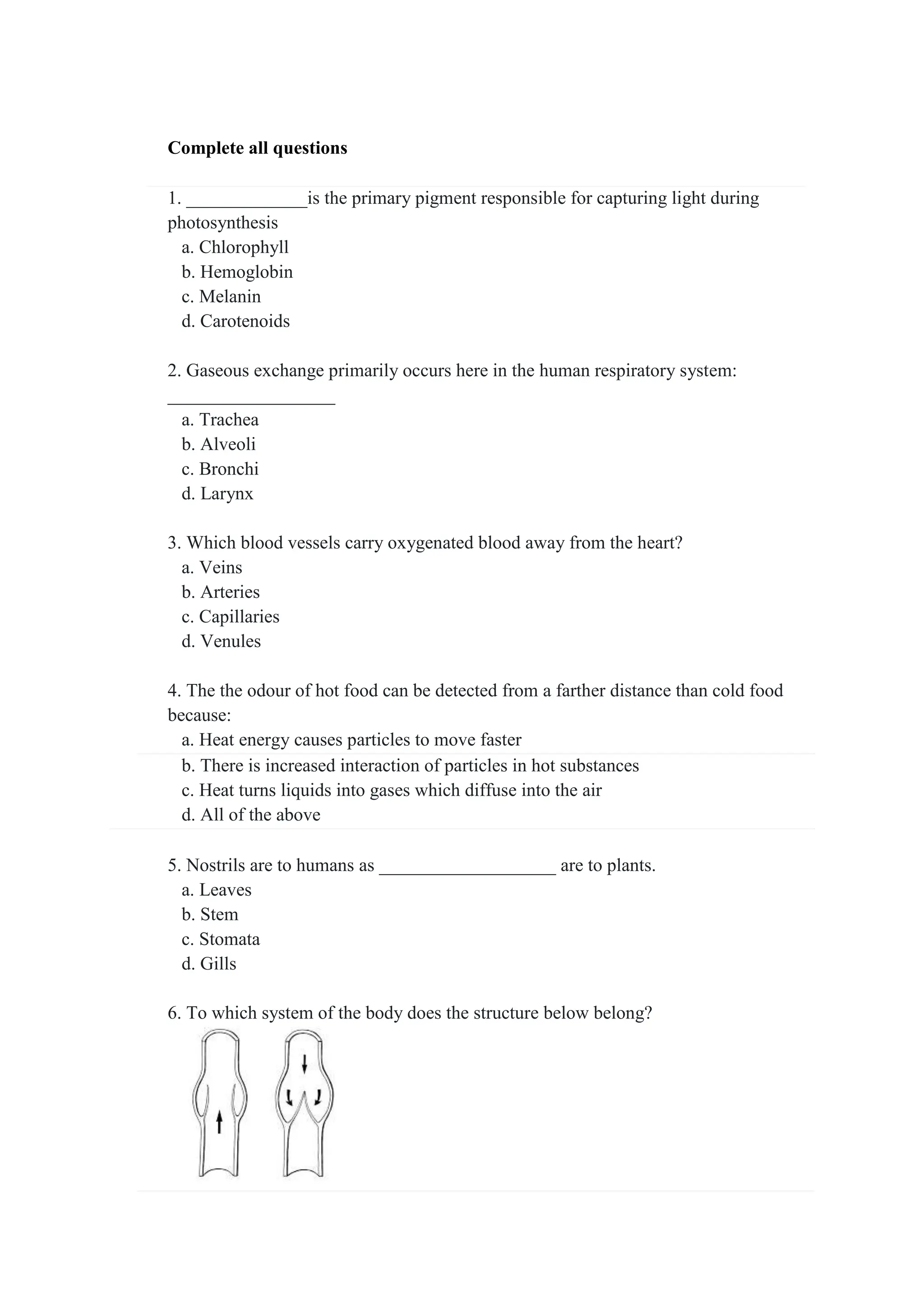 Form 4 Biology exam.docx