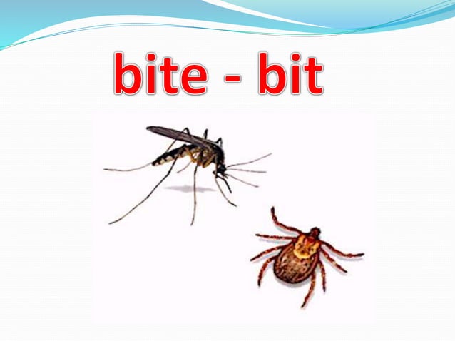 Form 5.unit 7. lesson3.stay safe in the countryside (gymnasia) | PPTX ...