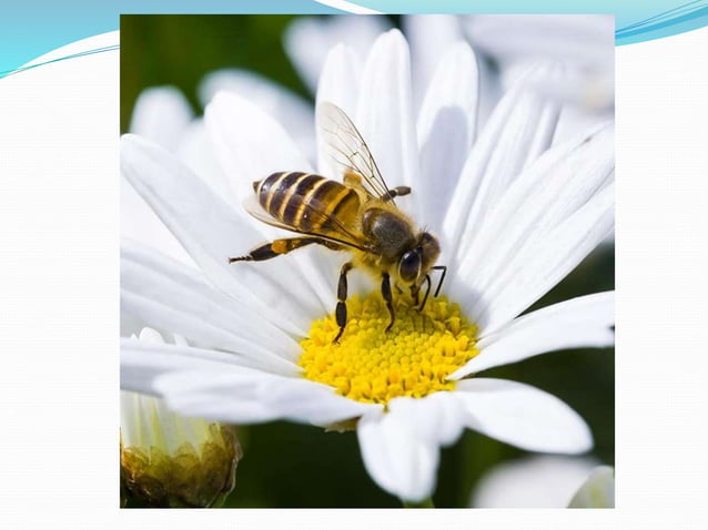 Form 5.unit 7. lesson3.stay safe in the countryside (gymnasia) | PPTX ...