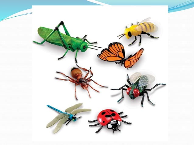 Form 5.unit 7. lesson3.stay safe in the countryside (gymnasia) | PPTX ...