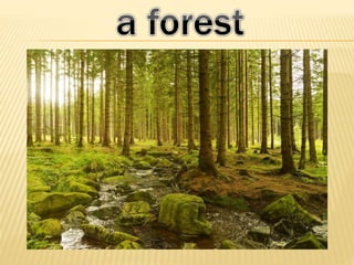 Form 5.unit8.lesson2.hot and cold, dry and wet | PPTX