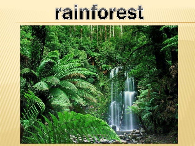 Form 5.unit8.lesson2.hot and cold, dry and wet | PPT