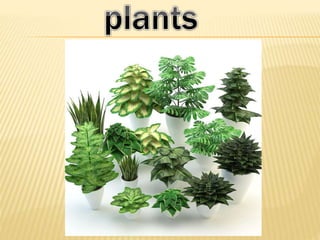 Form 5.unit8.lesson2.hot and cold, dry and wet | PPTX