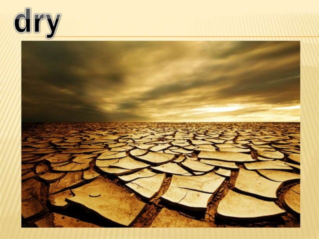 Form 5.unit8.lesson2.hot and cold, dry and wet | PPT