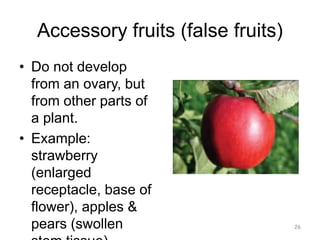 Form 5_Chapter 6_Sexual Reproduction in Flowering Plants.ppt