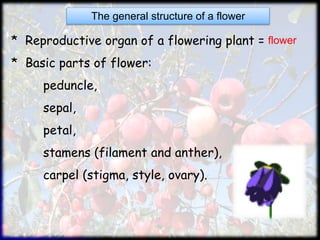 Form 5_Chapter 6_Sexual Reproduction in Flowering Plants.ppt