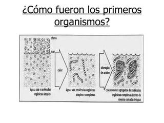 formacion de coacervados | PPT