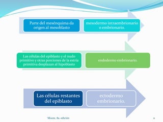 Formación de las capas germinales | PPTX