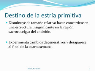 Formación de las capas germinales | PPTX