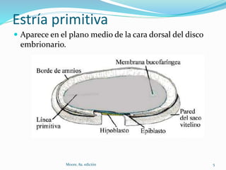 Formación de las capas germinales | PPTX