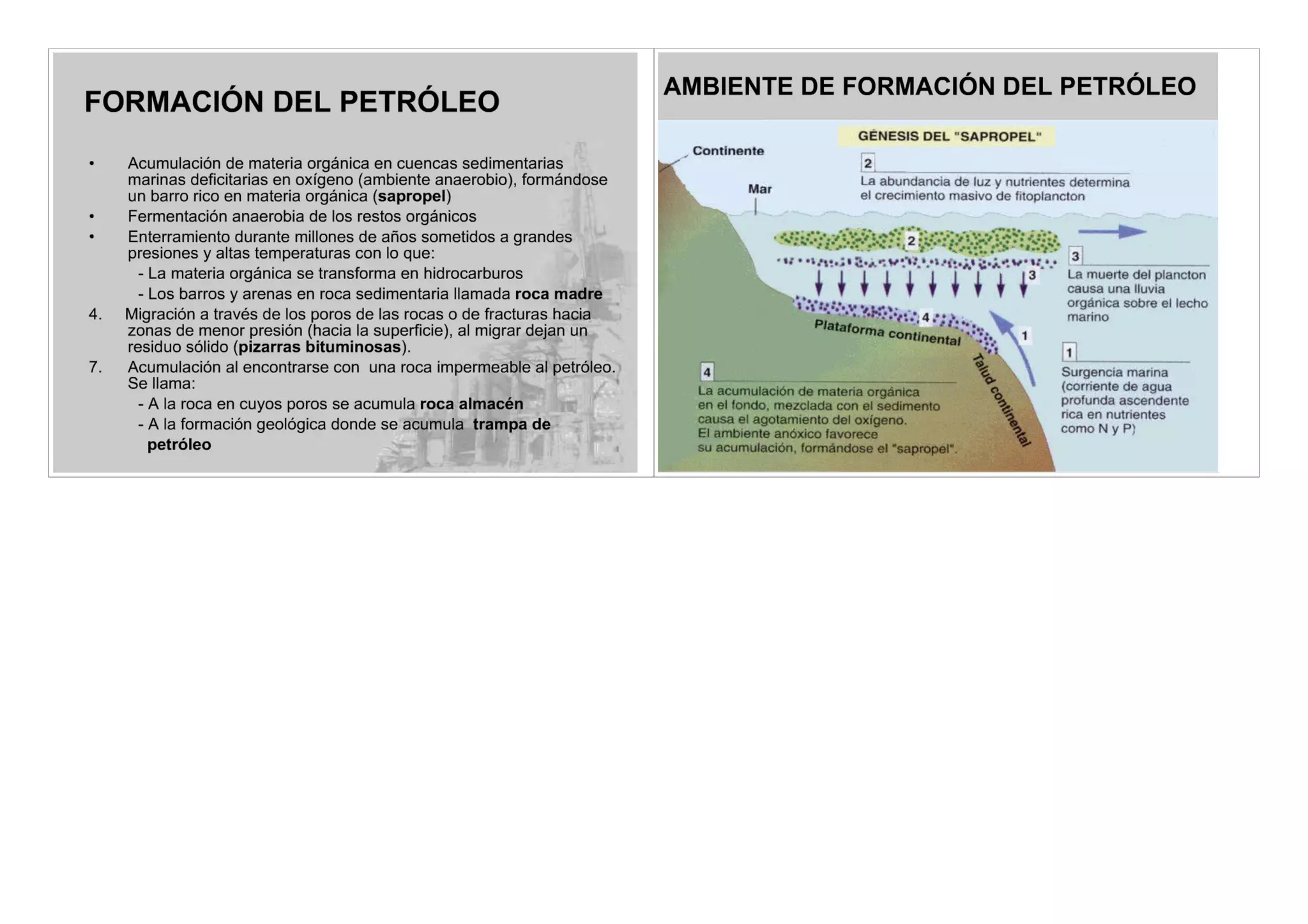 Formacion de los combustibles fosiles | PPT