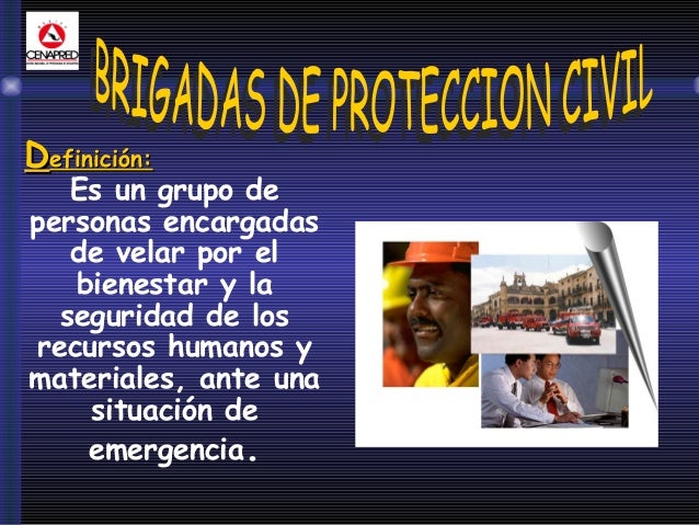 Formacion de brigadas de proteccion civil (2)