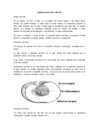 Formacion del Fruto | PDF