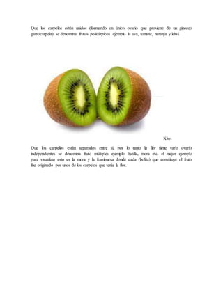 Formacion del Fruto | DOCX