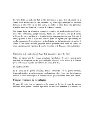 Formacion del Fruto | PDF