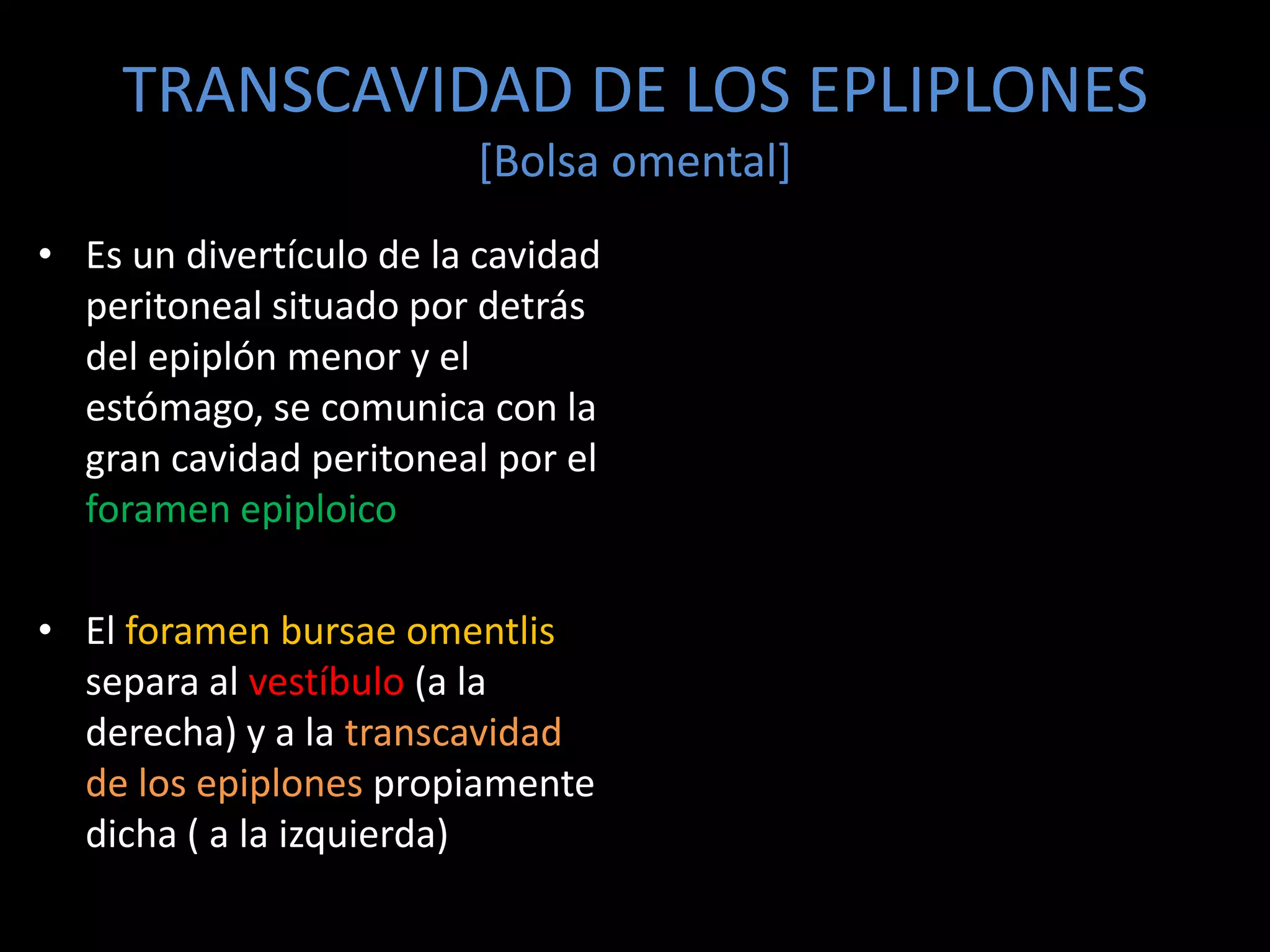 Formaciones peritoneales supracólicas del abdomen | PPTX