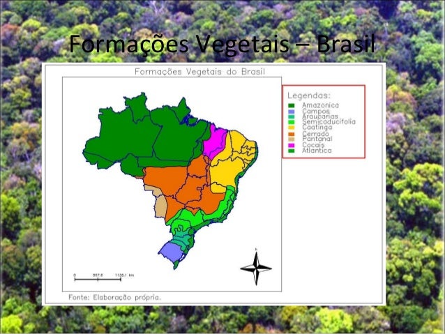 Formacoes Vegetais B Rasil Bruno Aula 2