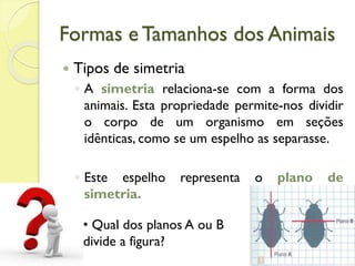 Forma e revestimento do corpo dos animais | PPTX