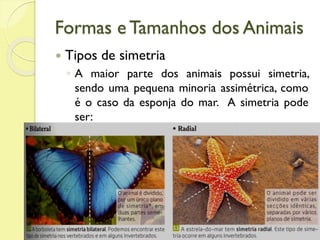 Forma e revestimento do corpo dos animais | PPTX