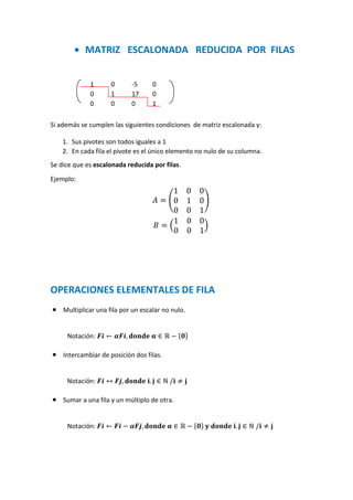 Forma escalonada de_una_matriz | DOCX
