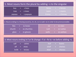 Formal characteristics of nouns | PPTX