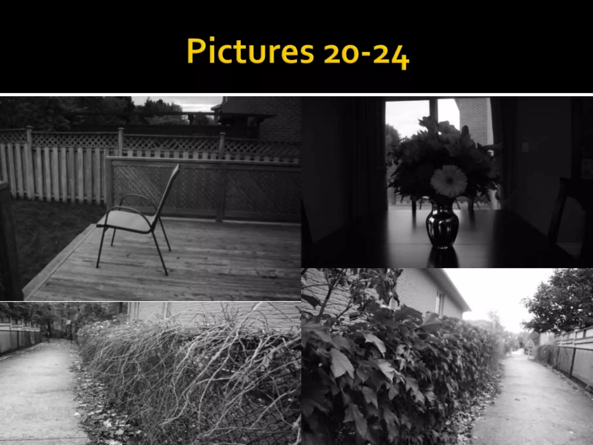 Formalism photography | PPTX