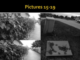 Formalism photography | PPTX