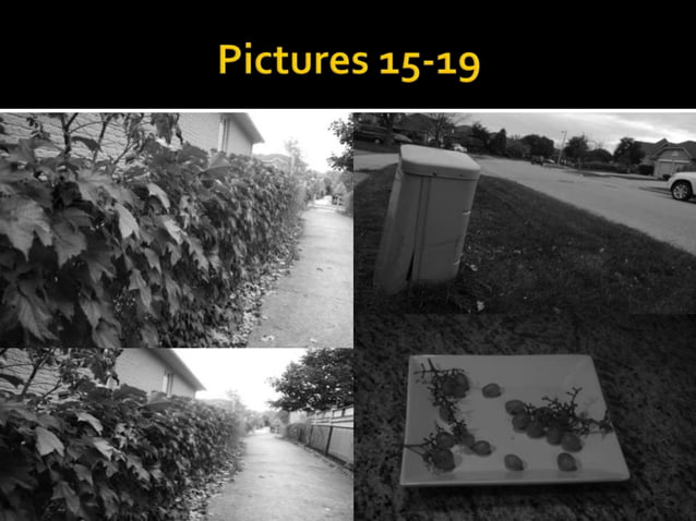 Formalism photography | PPTX
