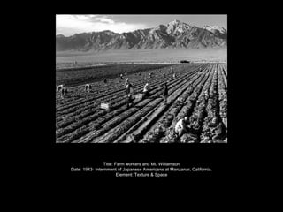 Formalism Photography | PPTX