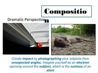 Formal qualities of Composition | PPT | Photography | Arts and Crafts