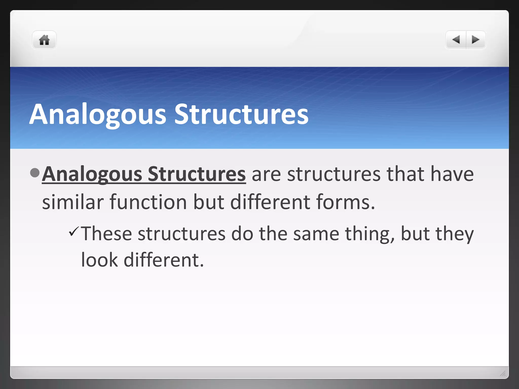 Form and function | PPT